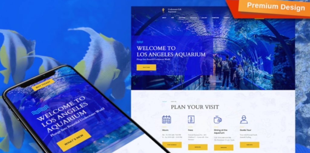 Veterinary Website Design and Pet Grooming Websites - MotoCMS Blog