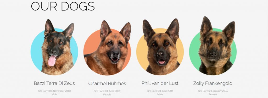 Website Builder for Dog Breeders: Simple Tips to Make a Site