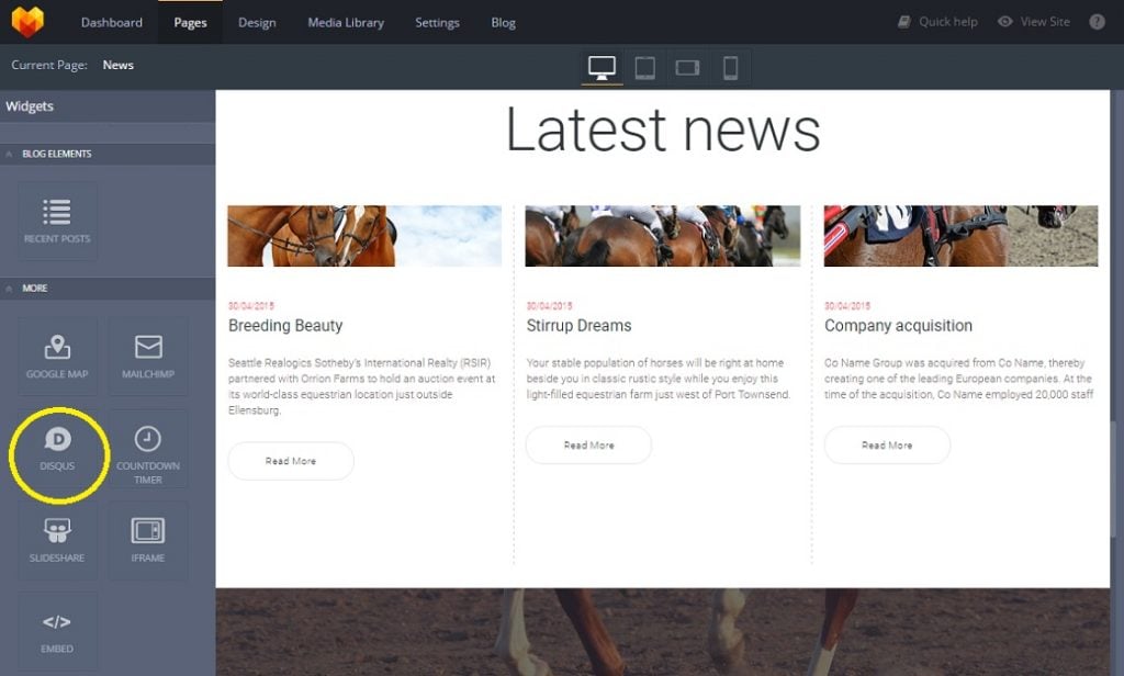 How to Make a Pet Website: Being Picky and Personal