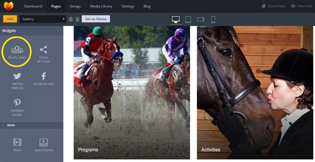 How to Make a Pet Website: Being Picky and Personal