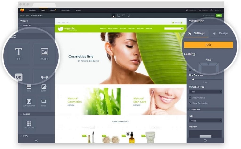 MotoCMS vs. WordPress: Ultimate CMS Comparison