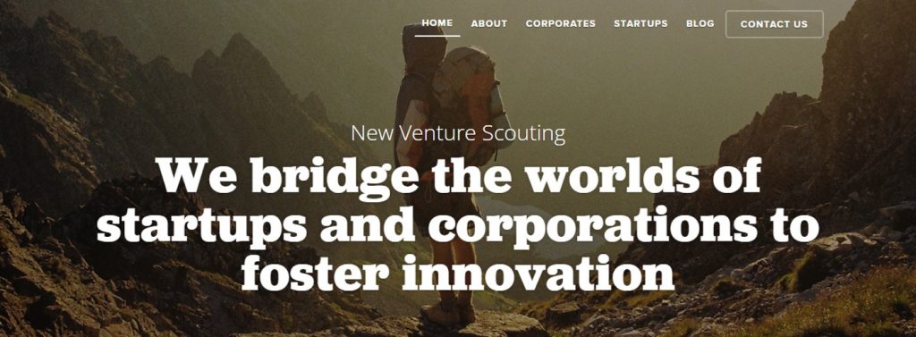 Bold Typography and Thick Fonts - How and Where to Use It Right