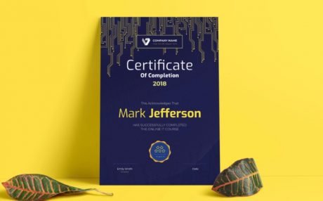 Graphic Design Packages for Creative Designers and Business Owners