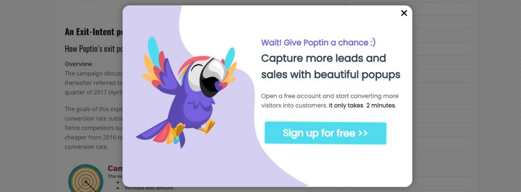 What Is A Pop Up and How to Use It Successfully