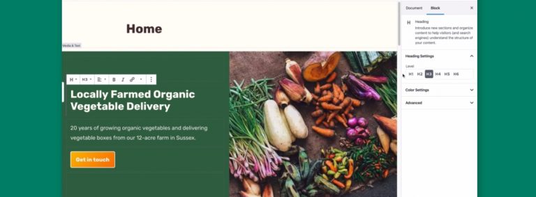 13 Best Professional Web Design Software