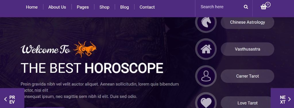 Tips to Develop and Design an Astrology Website - Best Astrology ...